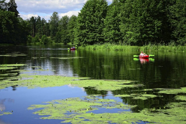 5 Perfect Rivers for Kayaking in Northern Poland [Pics] - Plan Poland